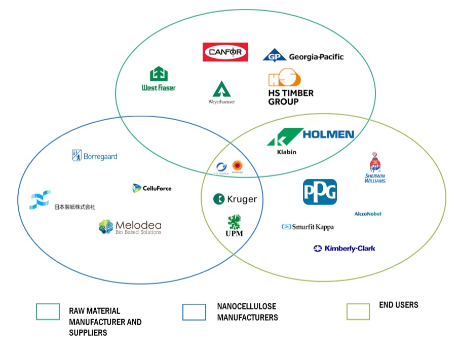 ナノセルロース市場 – 2032年までの世界予測│株式会社 SEMABIZ