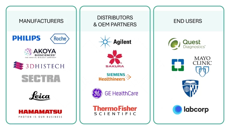 デジタルパソロジー市場 – 2030年までの世界予測│株式会社 SEMABIZ