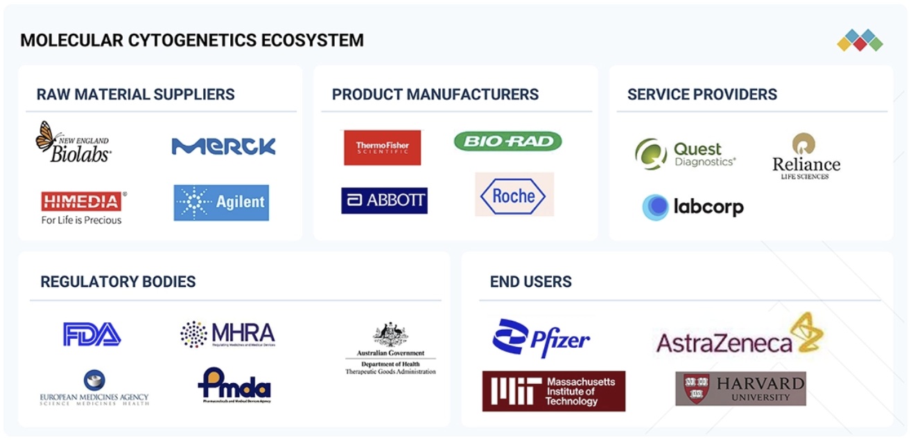 分子細胞遺伝学市場規模、シェア、動向、2030年までの世界予測│株式会社 SEMABIZ